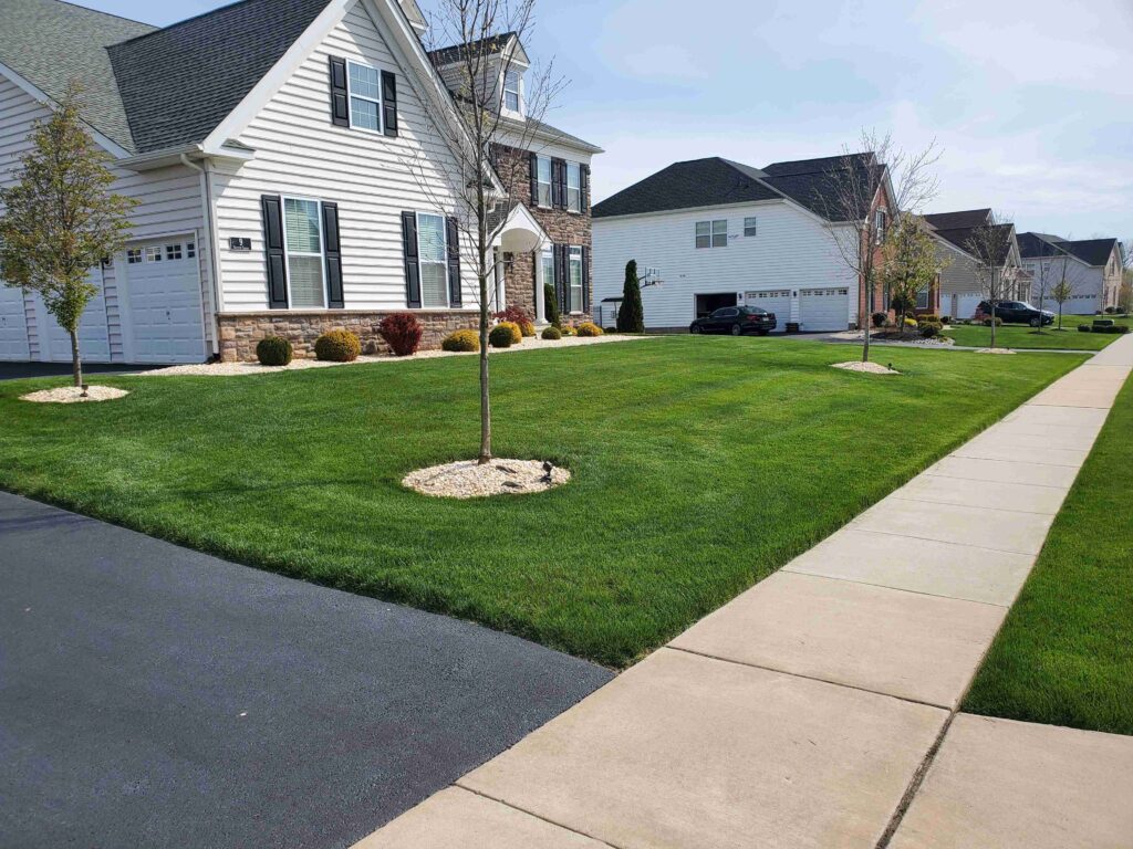 The Importance of Professional Lawn Aeration in Bucks County - Kelly ...